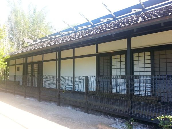 Japanese Class for Beginners, Sat, Jan 6, 2024, 9:50 AM - Polyglot club ...